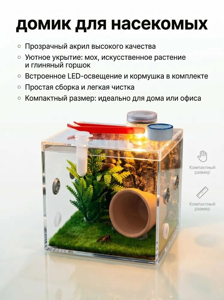 Террариум для пауков с щипцами-капельницами, клетка для улиток, вольер для сверчков, среда обитания древесных тарантулов