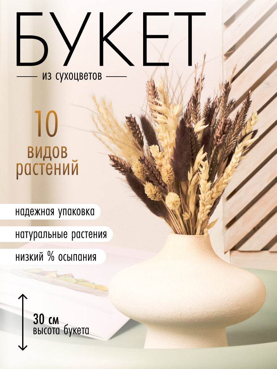 Букет из сухоцветов для декора и интерьера Donna Flor, коричневый