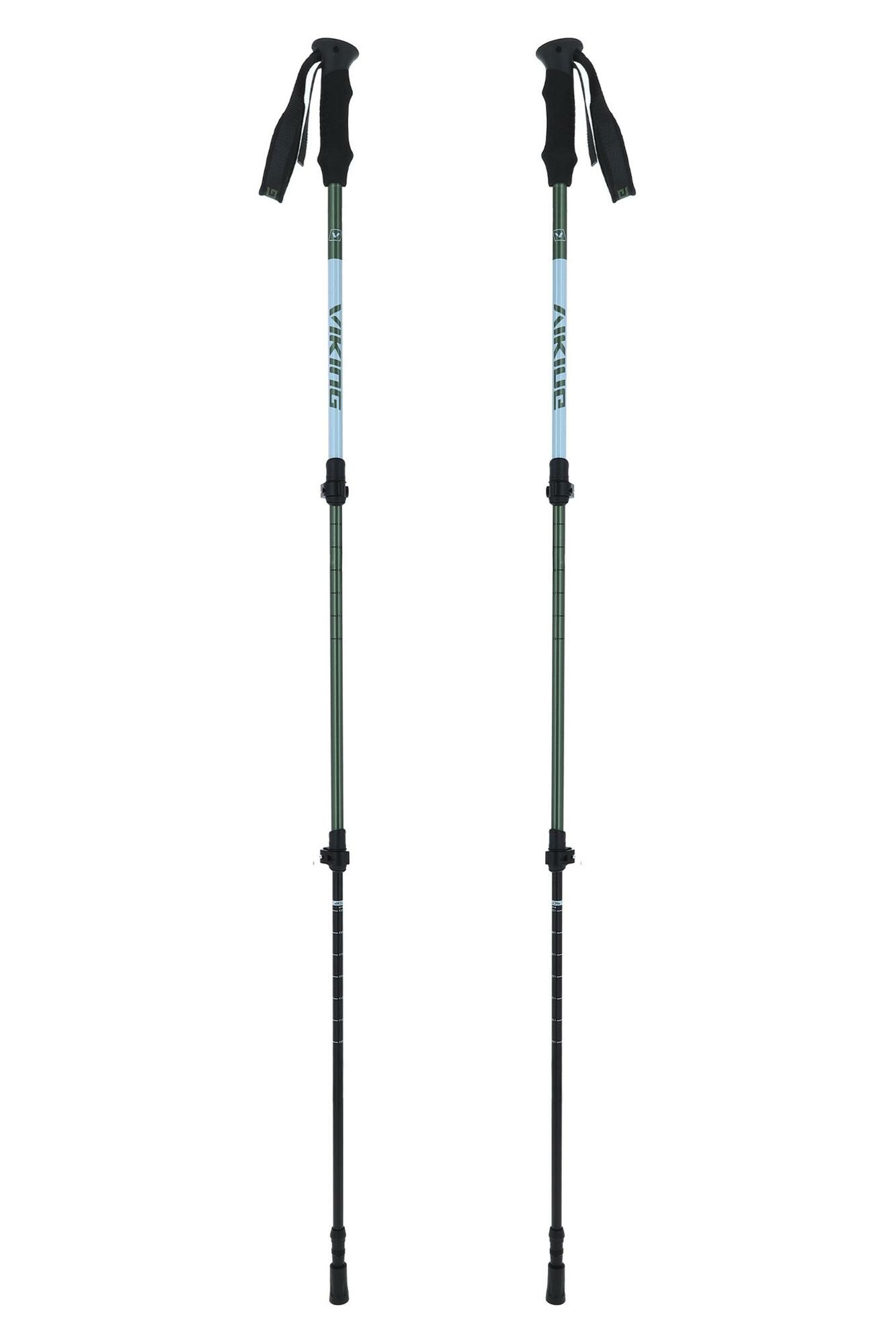Палки треккинговые VIKING Kivi 2.0 Blue Green