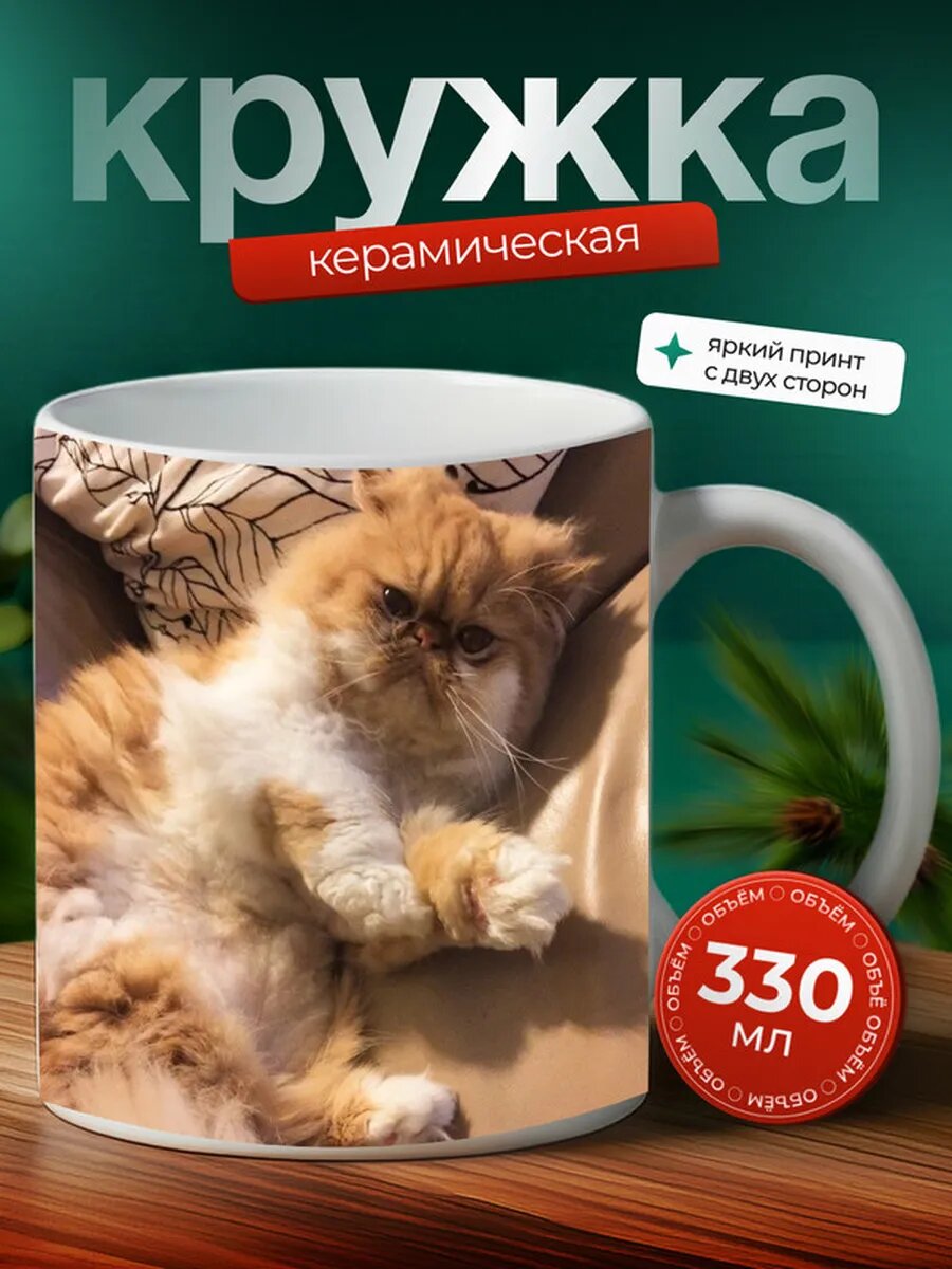 Кружка Иранский персидский кот 28,