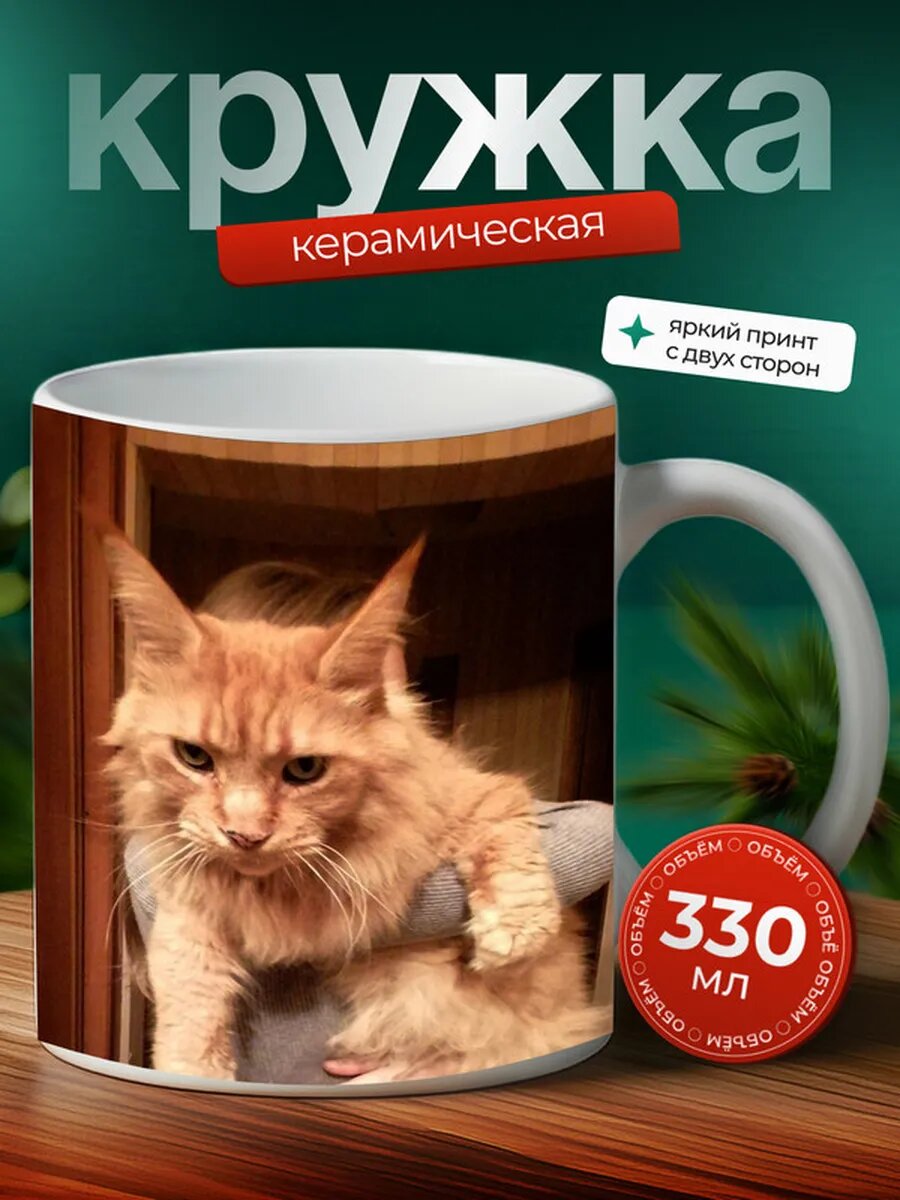 Кружка Американский рингтейл длинношерстный кот 36,