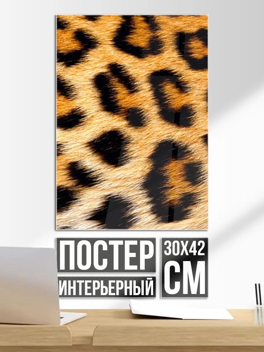 Постер на стену Настоящий леопард