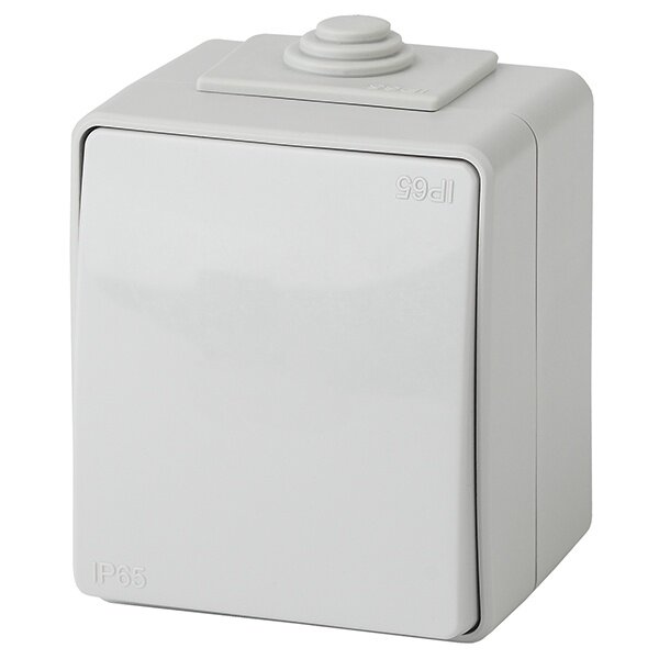 Переключатель ip65, 10ах-250в, оу, эра эксперт, серый,11-1603-03