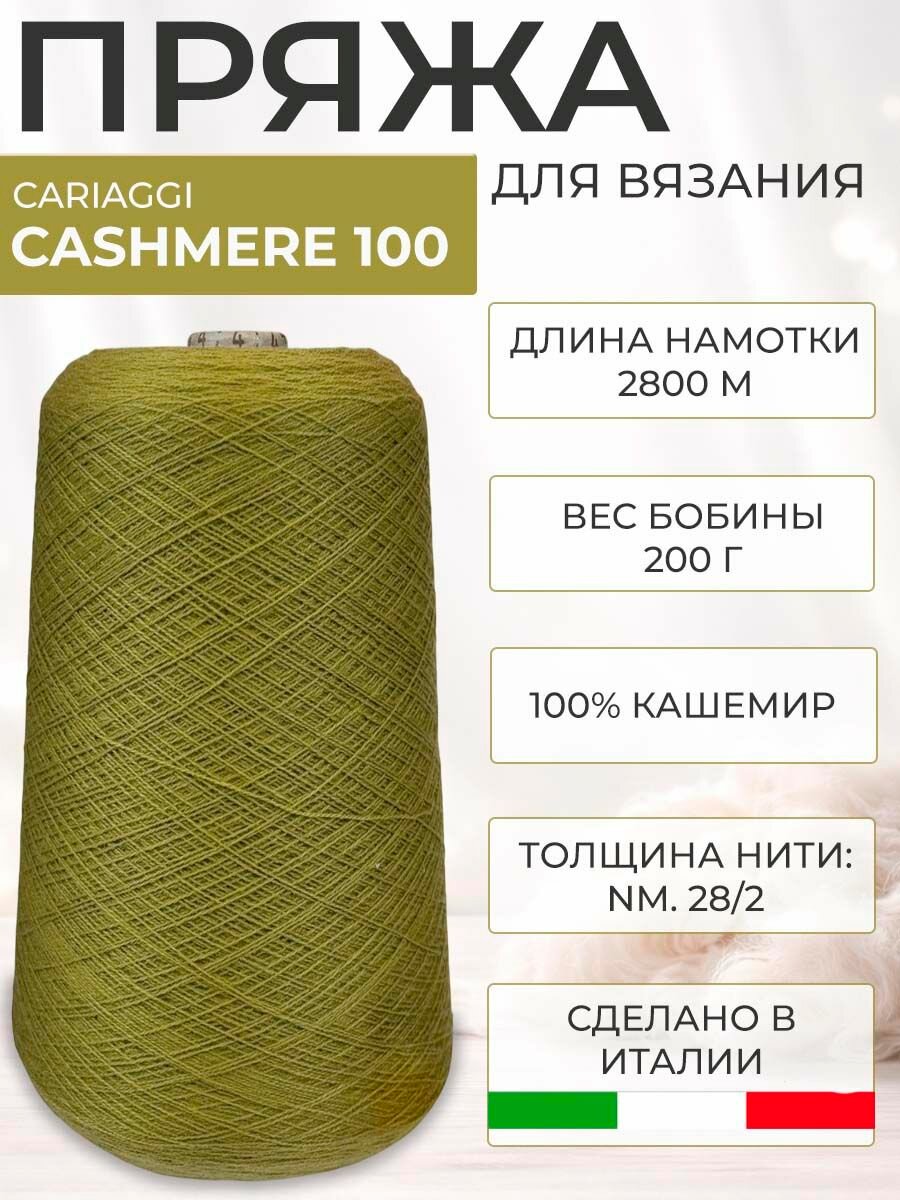 Пряжа бобинная Cariaggi Cashmere 100 кашемировая, 200 г / 2800 м, цвет оливковый