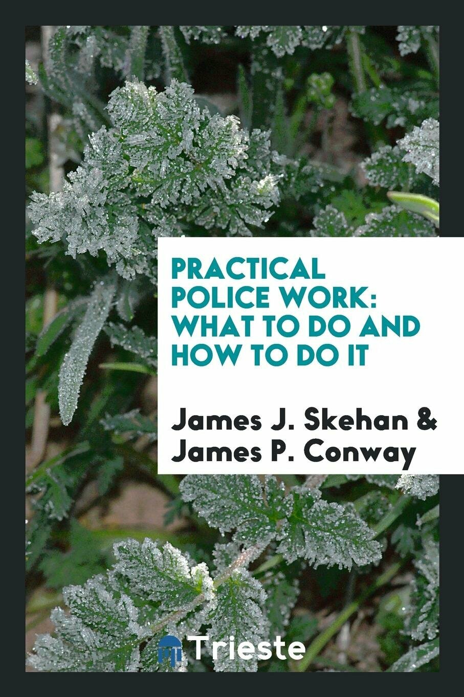 Practical police work. what to do and how to do it