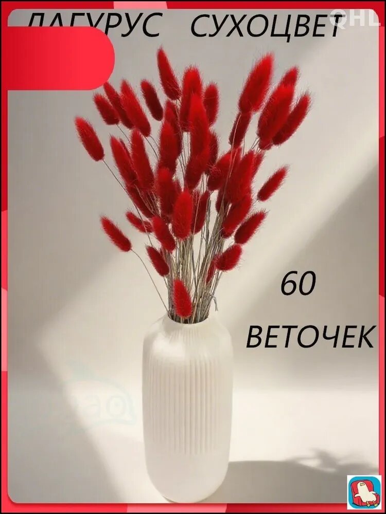 Сухоцветы лагурус декоративные, высота 55 см, вес 100 г, упаковка 60 штук, для флористики и интерьера