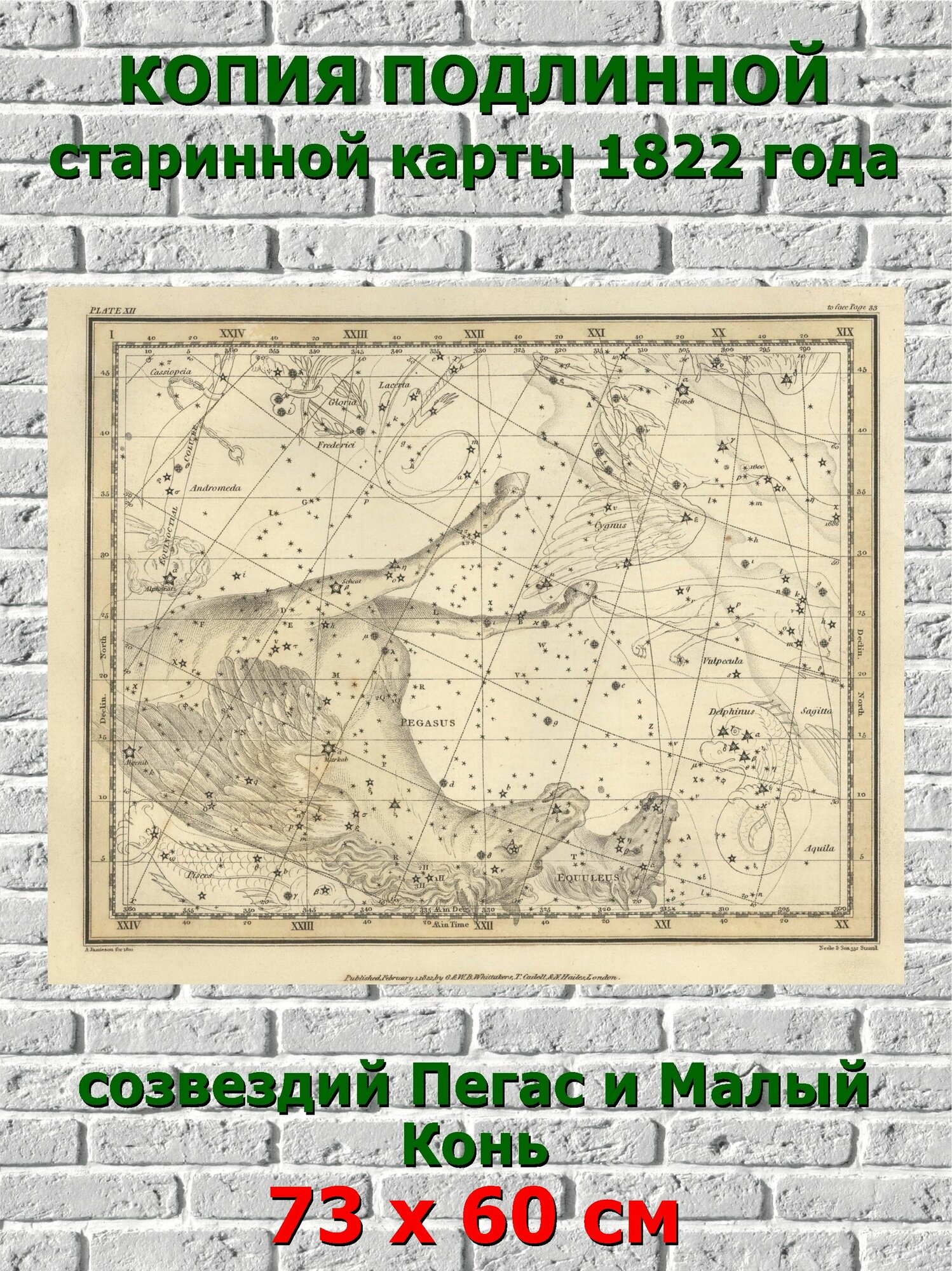 Старинная Карта созвездий. Пегас и Малый Конь. (репринт карты 1822 года).
