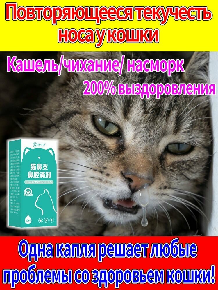 Антибиотик для кошек широкого спектра,20 мл