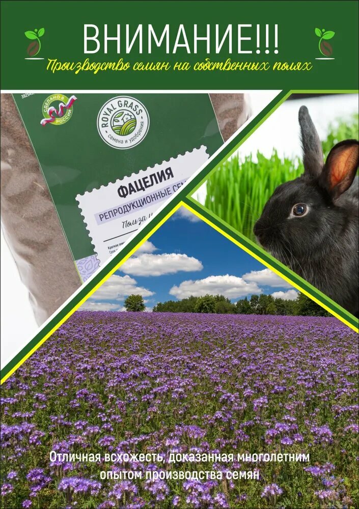 Royal Grass Семена ,1шт — фото 1