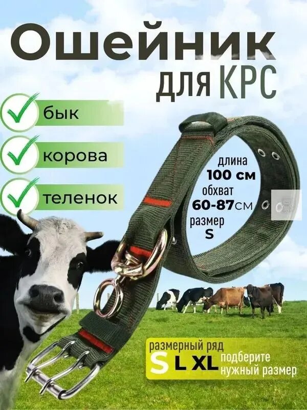Ошейник маркировочный