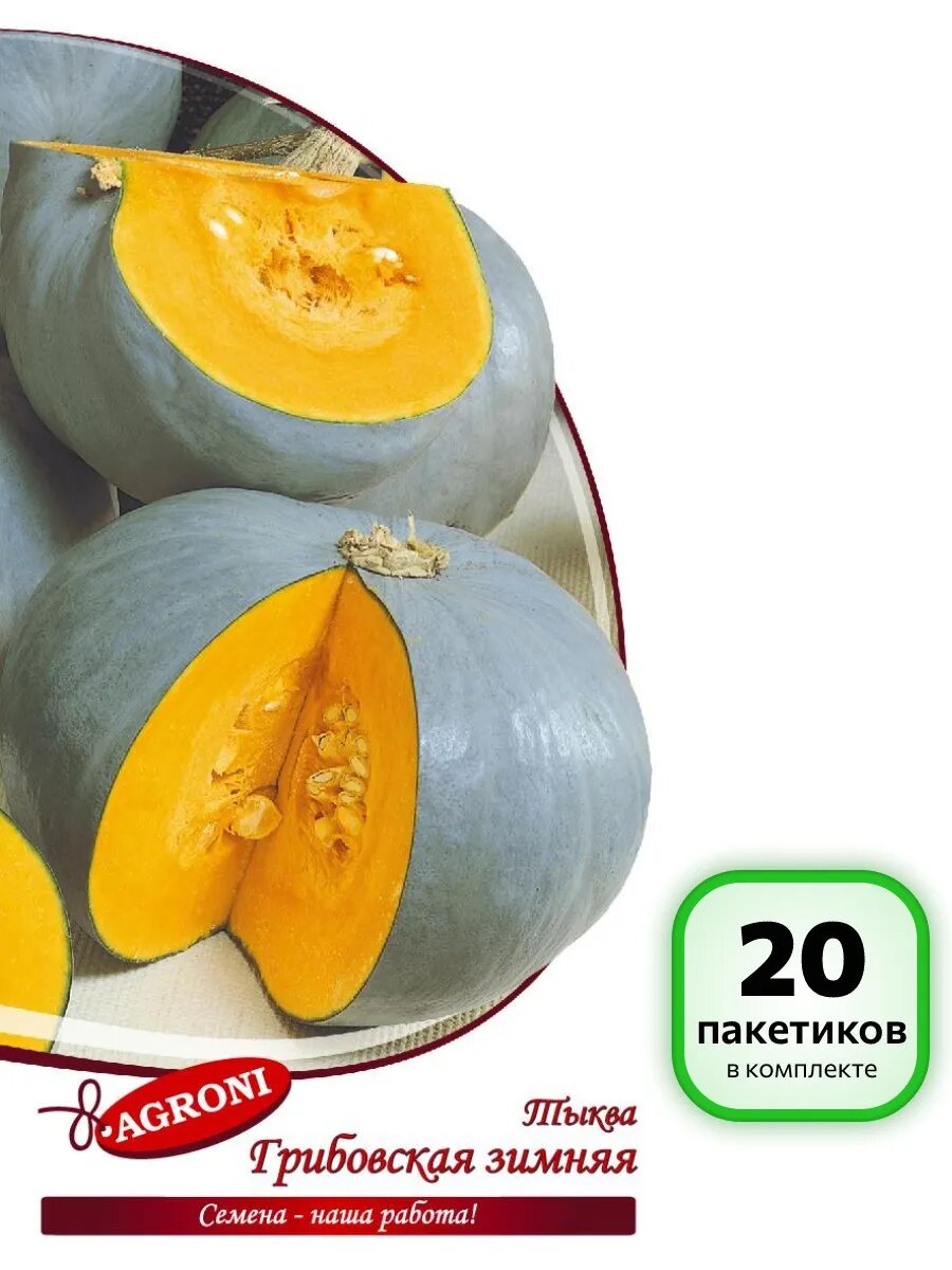 (20 шт.) - Семена Тыква Грибовская зимняя (2,0г)