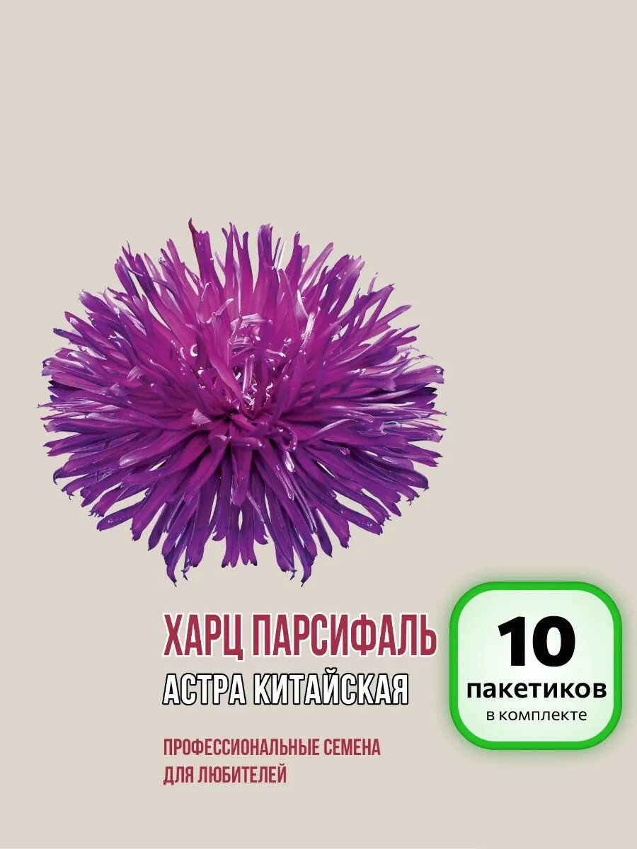 (10 шт.) - Семена Астра китайская харц парсифаль 0,2г