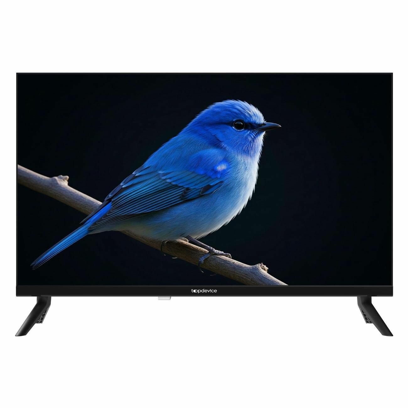 Телевизор TopDevice TDHTV24SHD_BK