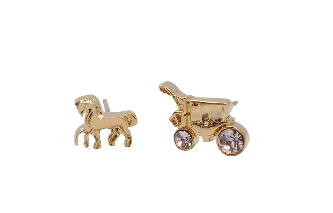 Серьги Coach