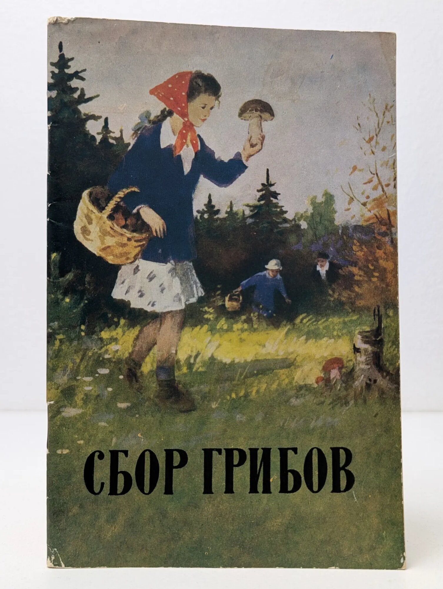 Сбор грибов Мухин Александр Артамонович, Туткевич Владимир М. 1958