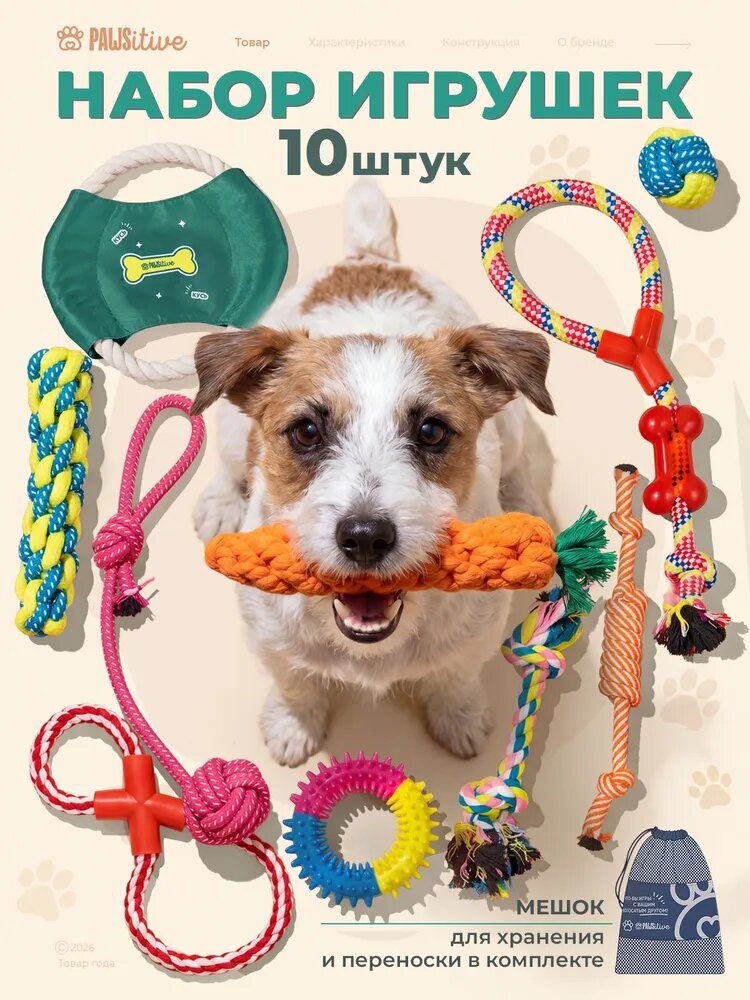Игрушки для собак PAWSitive / Набор игрушек для мелких, средних пород и щенков 10 шт.
