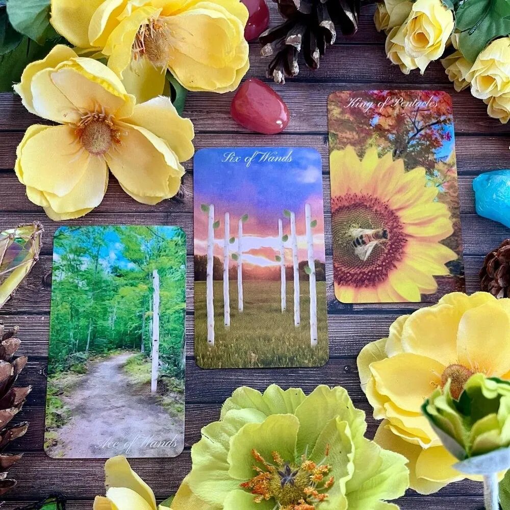 Карты Таро Walking Meditation Tarot by Daniel Numen, Classic format, Mixed Tarot tradition — фото 1