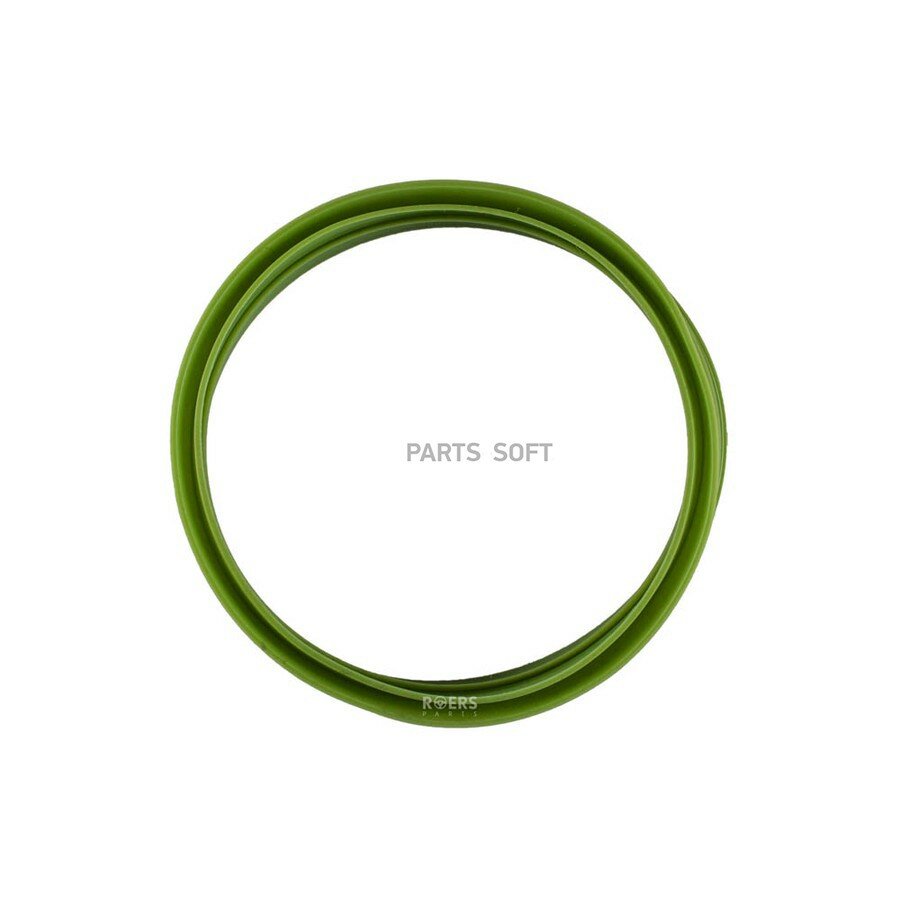 Уплотнительное кольцо бензонасоса от официального дистрибьютора, ROERS-PARTS, артикул RPM51SR005