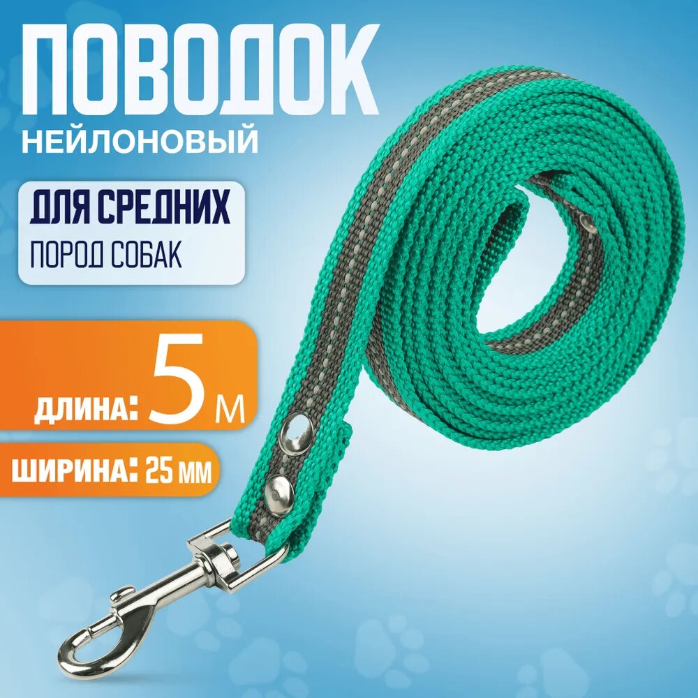 Поводок нейлоновый 5м х 25мм, изумрудно-серый, из ленты высокой плотности, для средних пород собак.