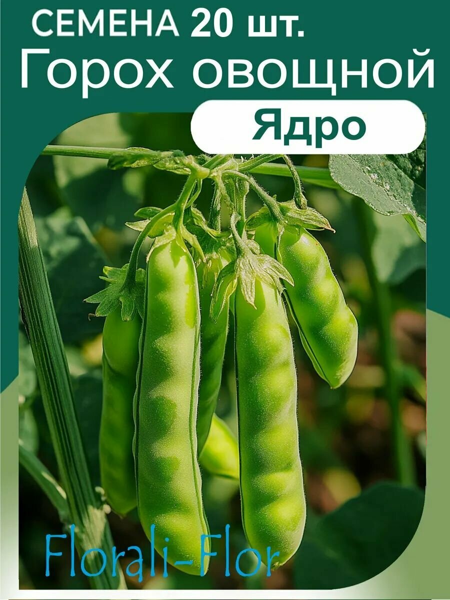 Семена Гороха овощного