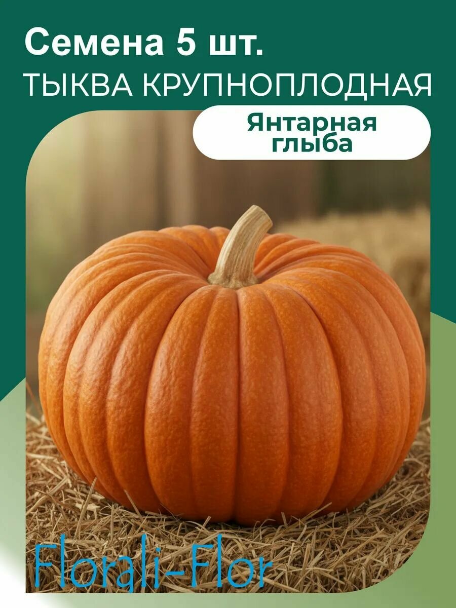 Тыква Крупноплодная Семена