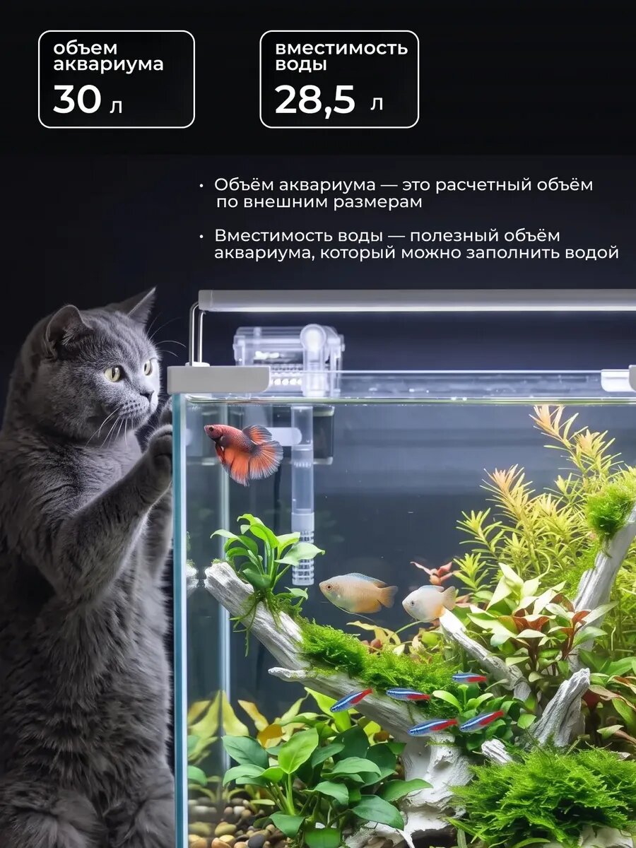 Аквариум куб 30 белый — фото 1