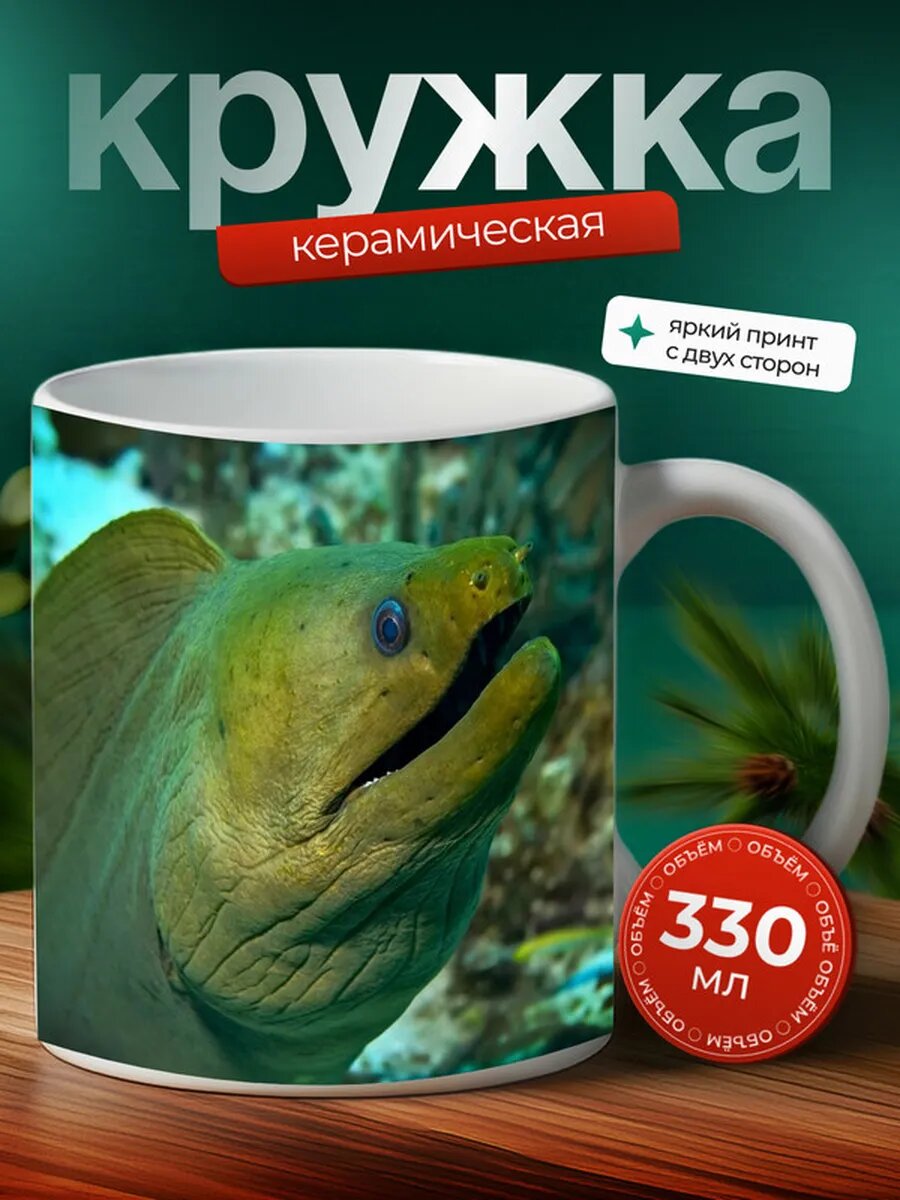 Кружка Морской огурец иглокожее 4,