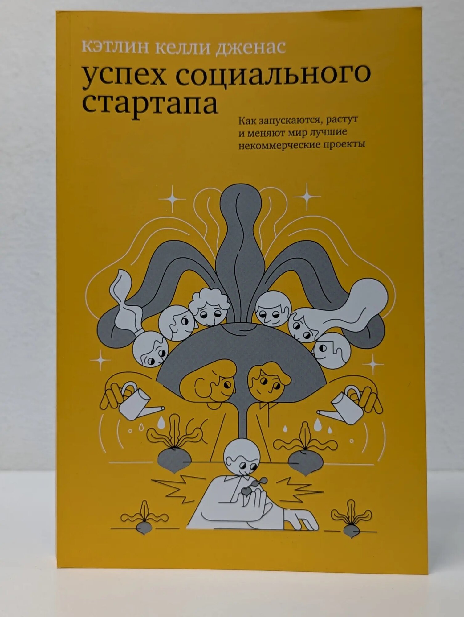 Успех социального стартапа. Как запускаются, растут и меняют мир лучшие некоммерческие проекты Дженас Кэтлин Келли 2020