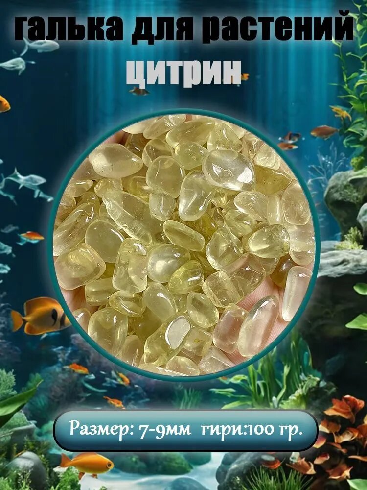 Цитрин Грунт для аквариума и растений , кактуса и суккулентов , Каспийская галька 7-9 мм, 100 гр.