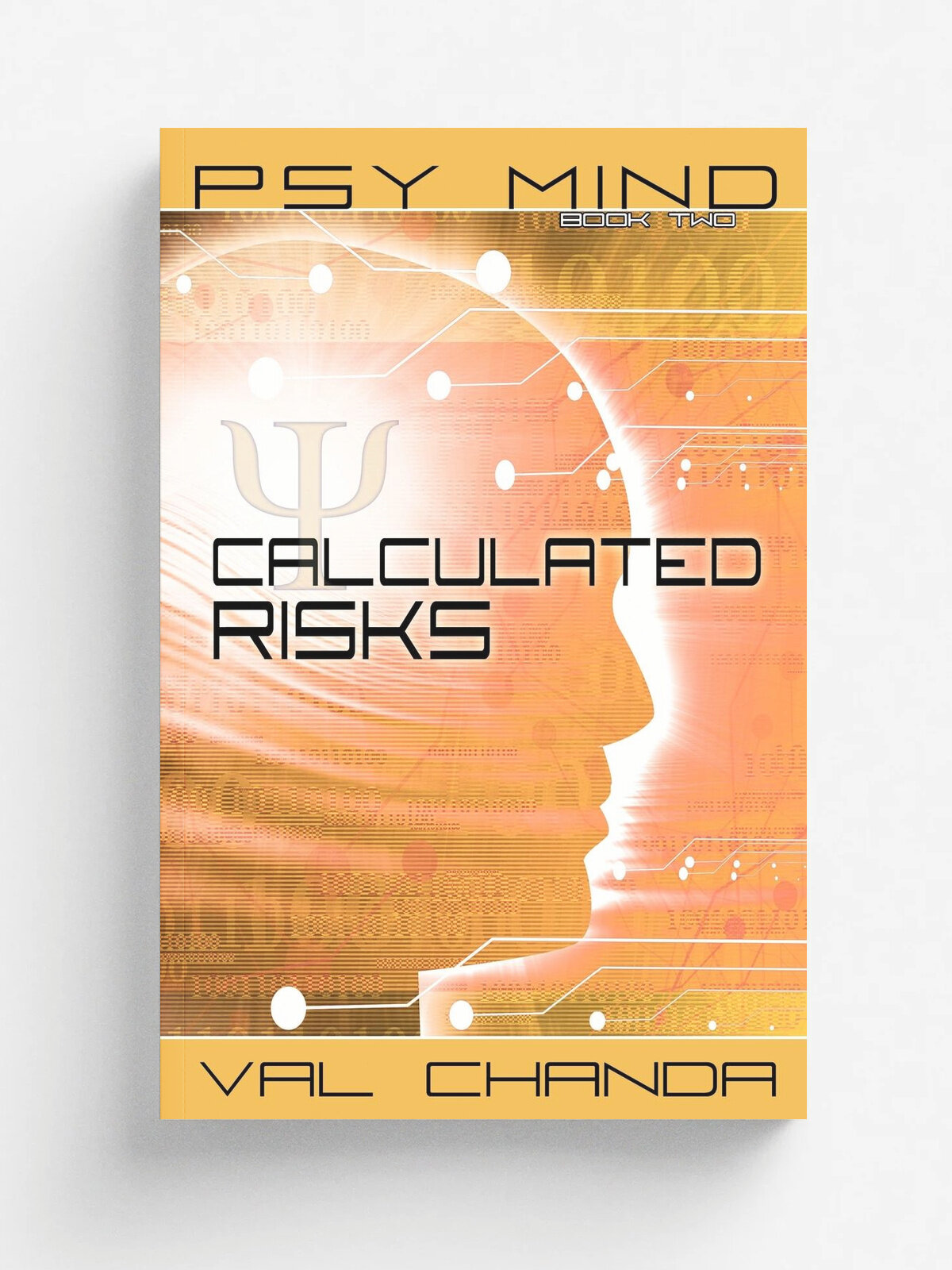 Psy Mind. Calculated Risks (Book Two)