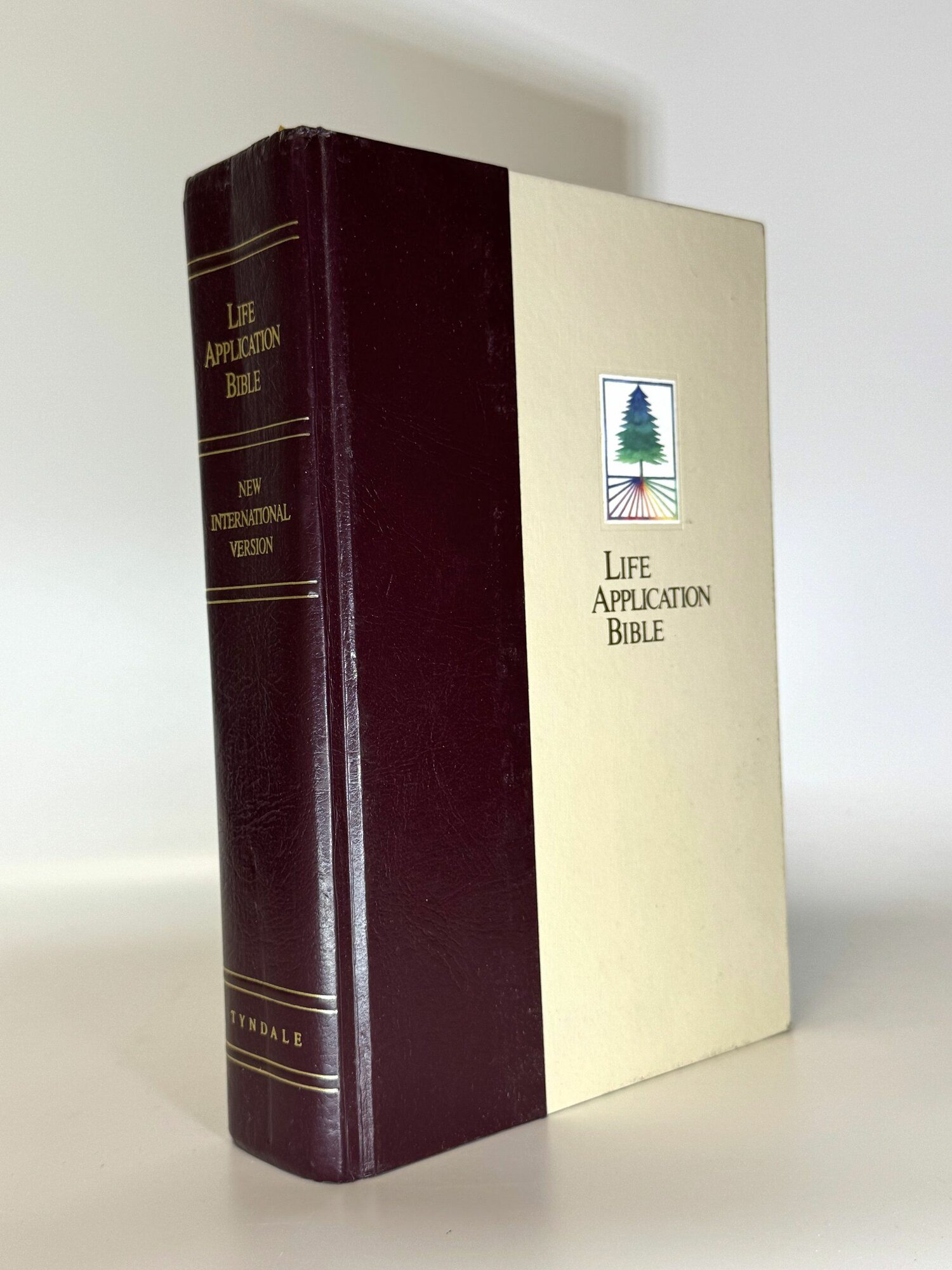 Life application Bible. New international version. Сборник. Букинистическая книга в отличном состоянии.