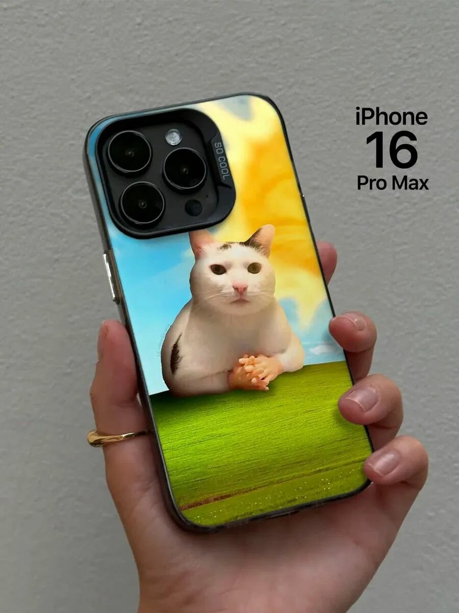 Чехол на Iphone 16 Pro Max смешной