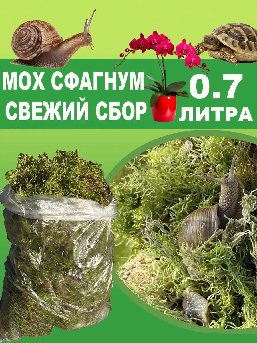 Мох сфагнум свежий, отборный 0,7 литра для растений, улиток, орхидей