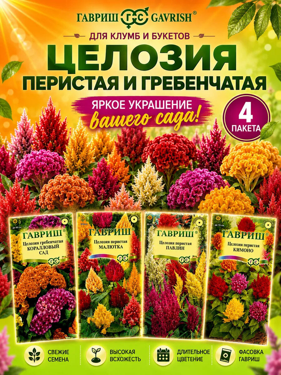 Целозия семена гребенчатая перистая смесь 4 пакета