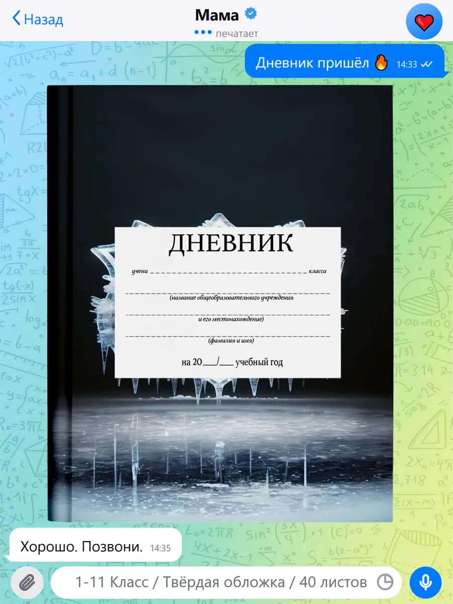Школьный дневник с принтом Роблокс