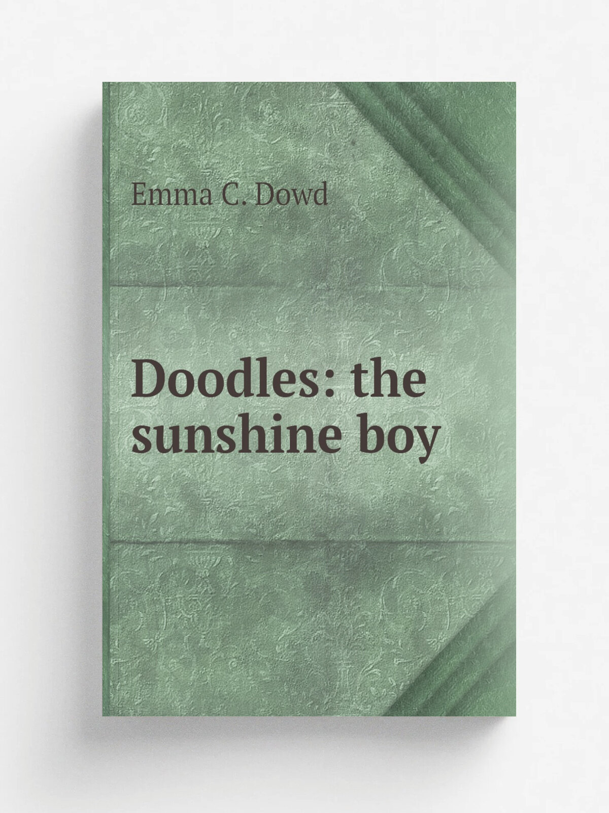 Doodles: the sunshine boy | Emma C. Dowd | Репринт