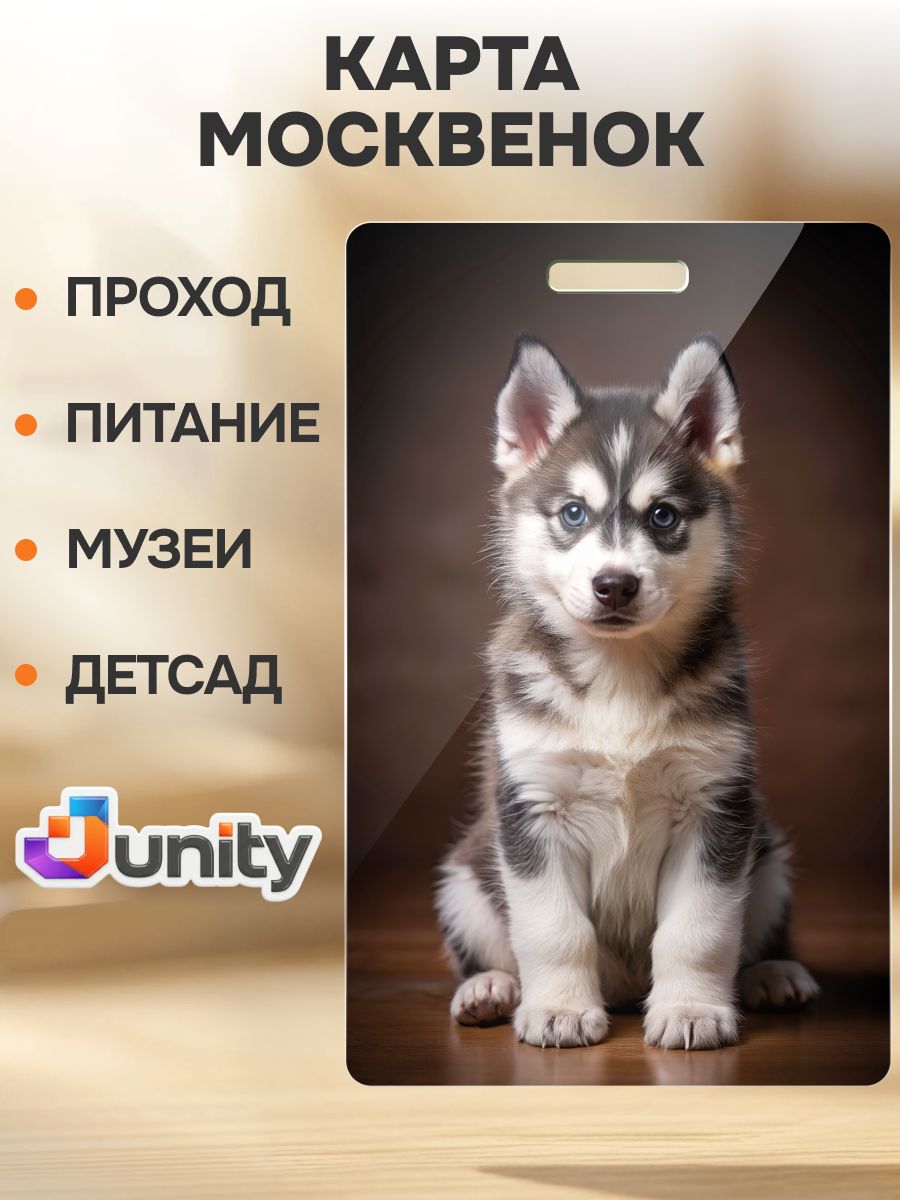 Карта Москвёнок DOGS №14