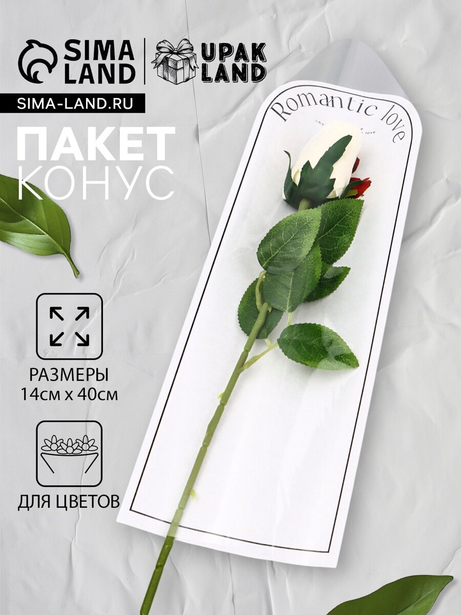 Пакет - конус «Романтика», для цветов, белый, 14×40 см