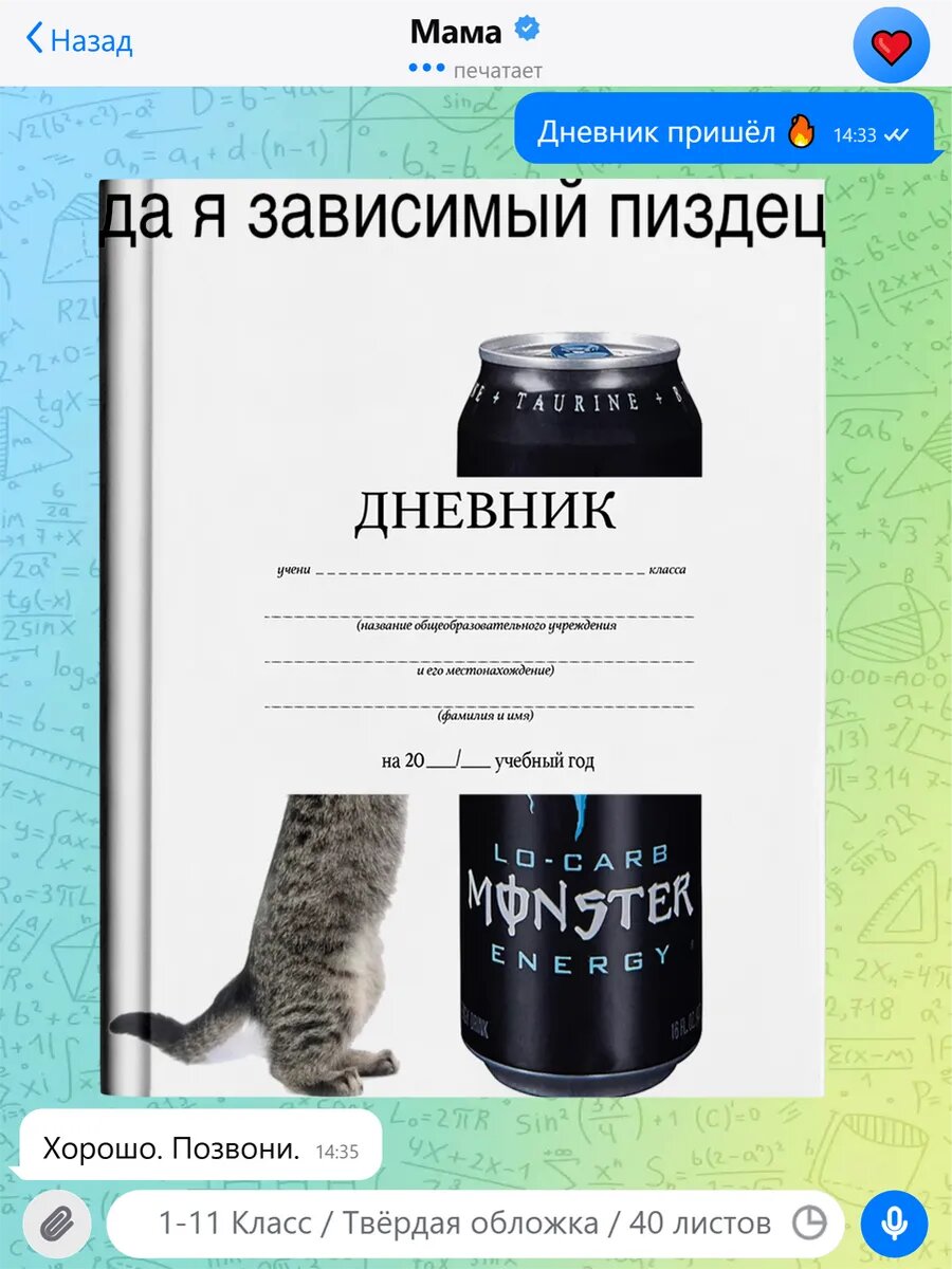 Школьный дневник с принтом Монстер Хай