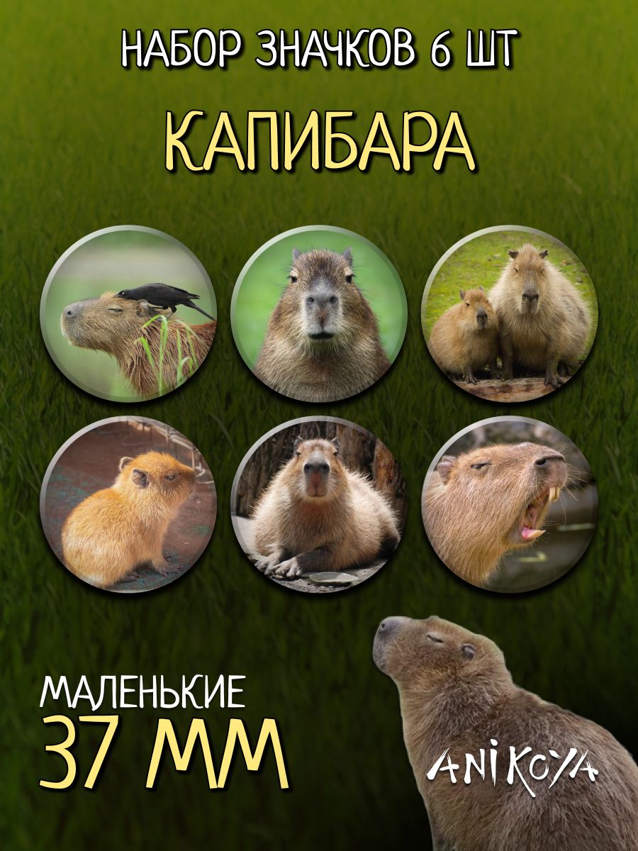 Набор значков AniKoya