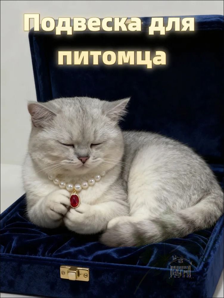 Ожерелье для собак и кошек с цветными камнями и жемчугом, модный аксессуар для питомцев