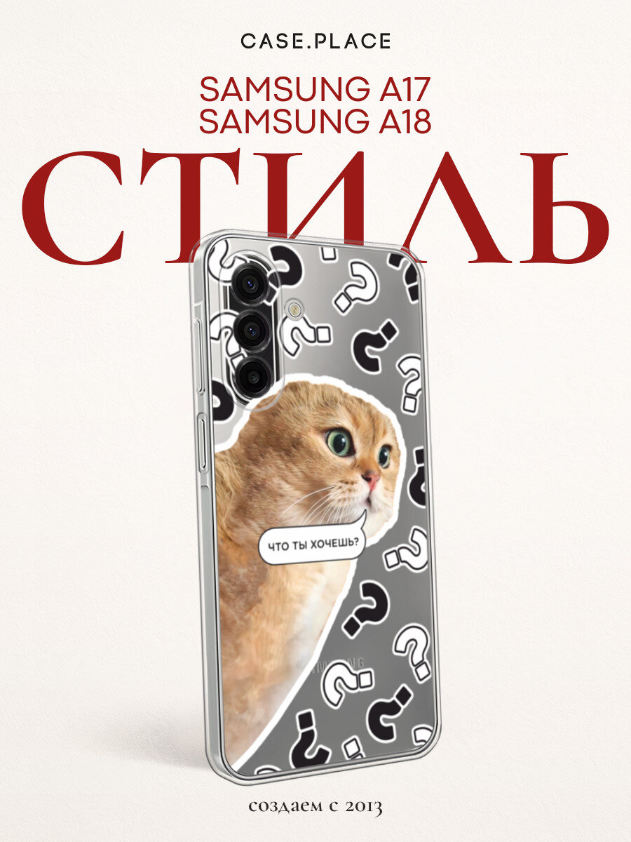 Чехол на Samsung Galaxy A17 / Самсунг А17 с принтом С котом парный, прозрачный