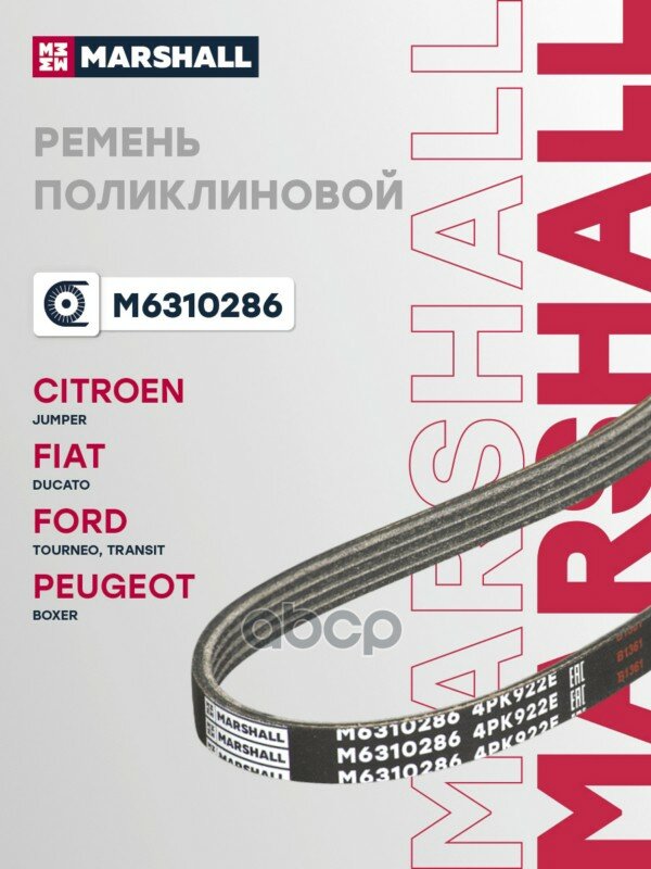 Ремень ручейковый MARSHALL арт. M6310286