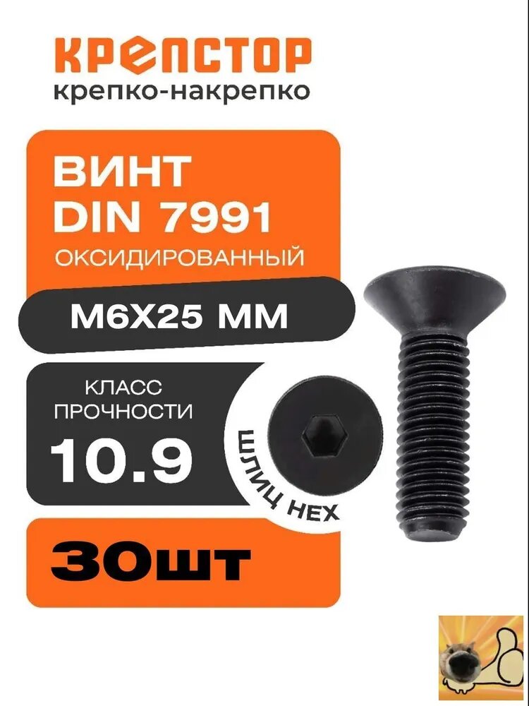 Винт М6 x 6 x 25 мм, головка: Потайная, 30 шт. 10 г