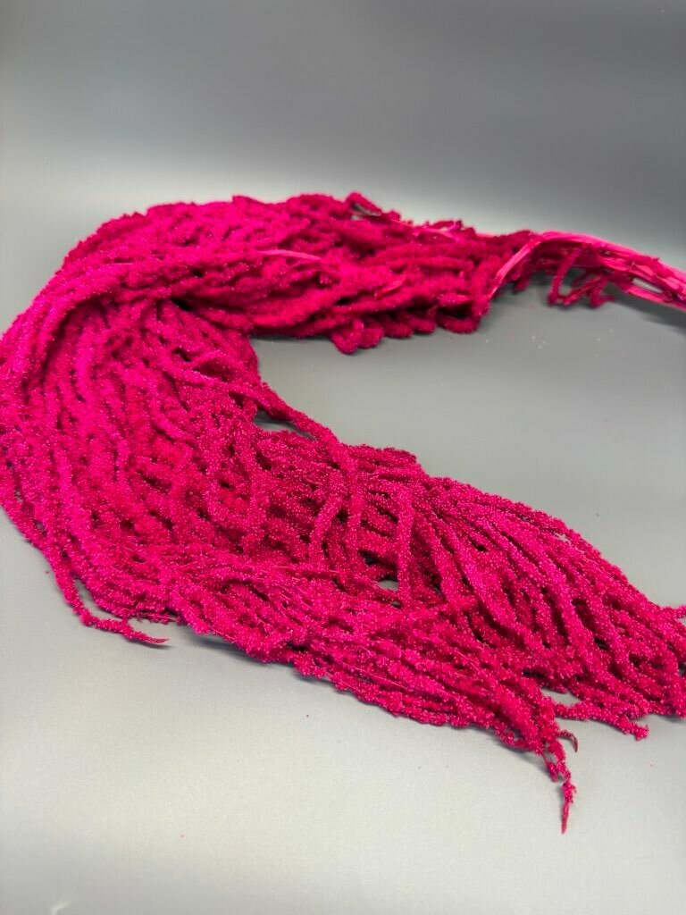 Амарант стабилизированный сухоцвет для декора