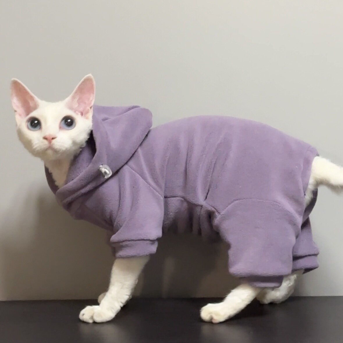 Флисовое пальто для кошки Сфинкс, теплая толстовка, комбинезон для домашних животных на 4 лапы