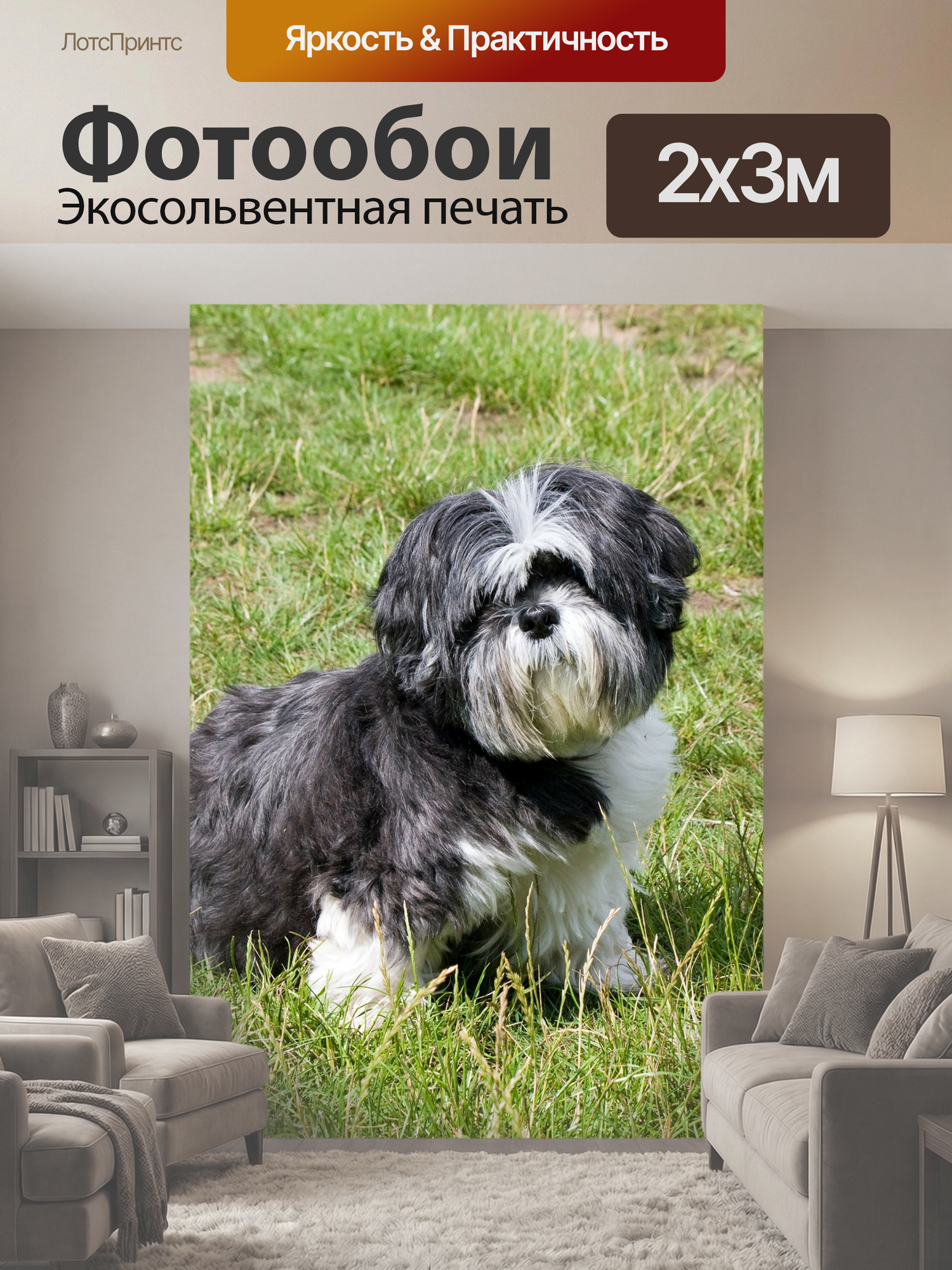 Фотообои "Собака, ши тцу, милый" 200x300 см. экосольвентная печать