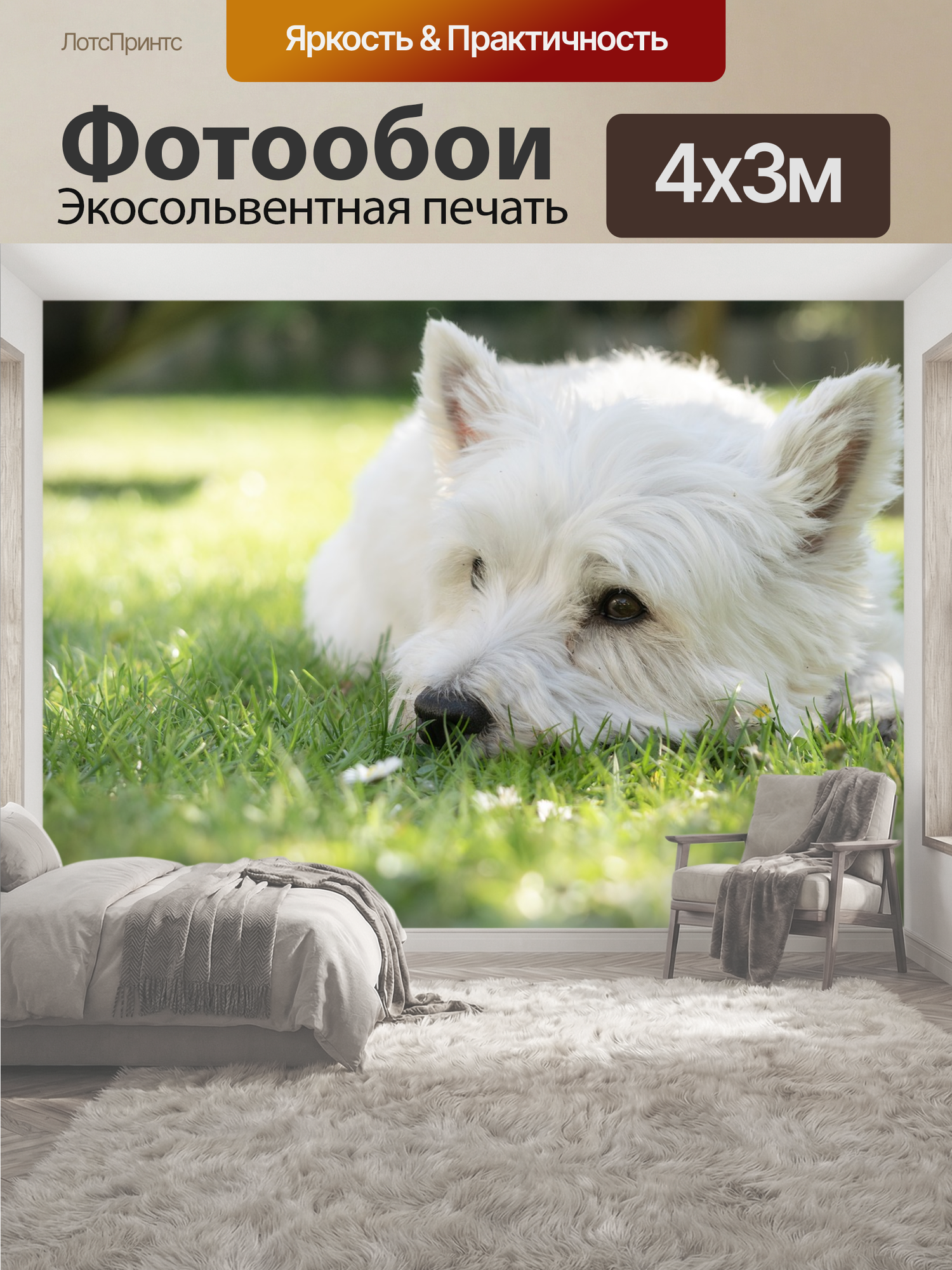 Фотообои "Собака, вести, терьер" 400x300 см. экосольвентная печать