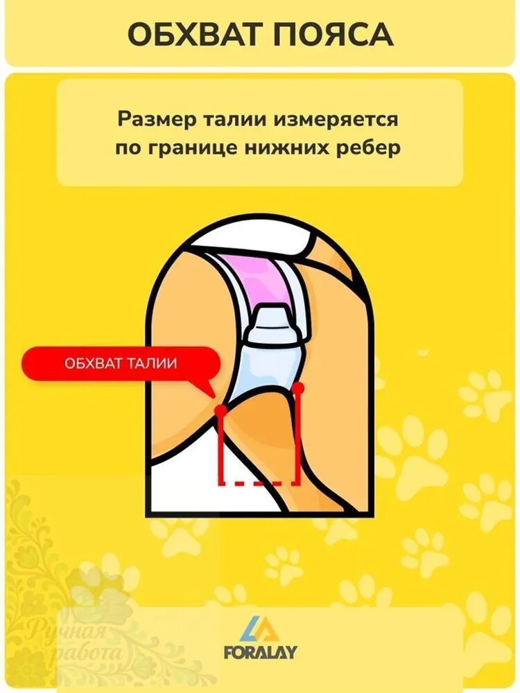Подгузники для животных — фото 1