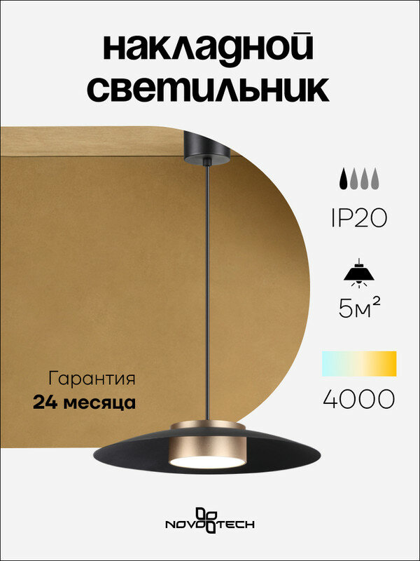 Подвесной светильник накладной NOVOTECH PILZ 358591 18W